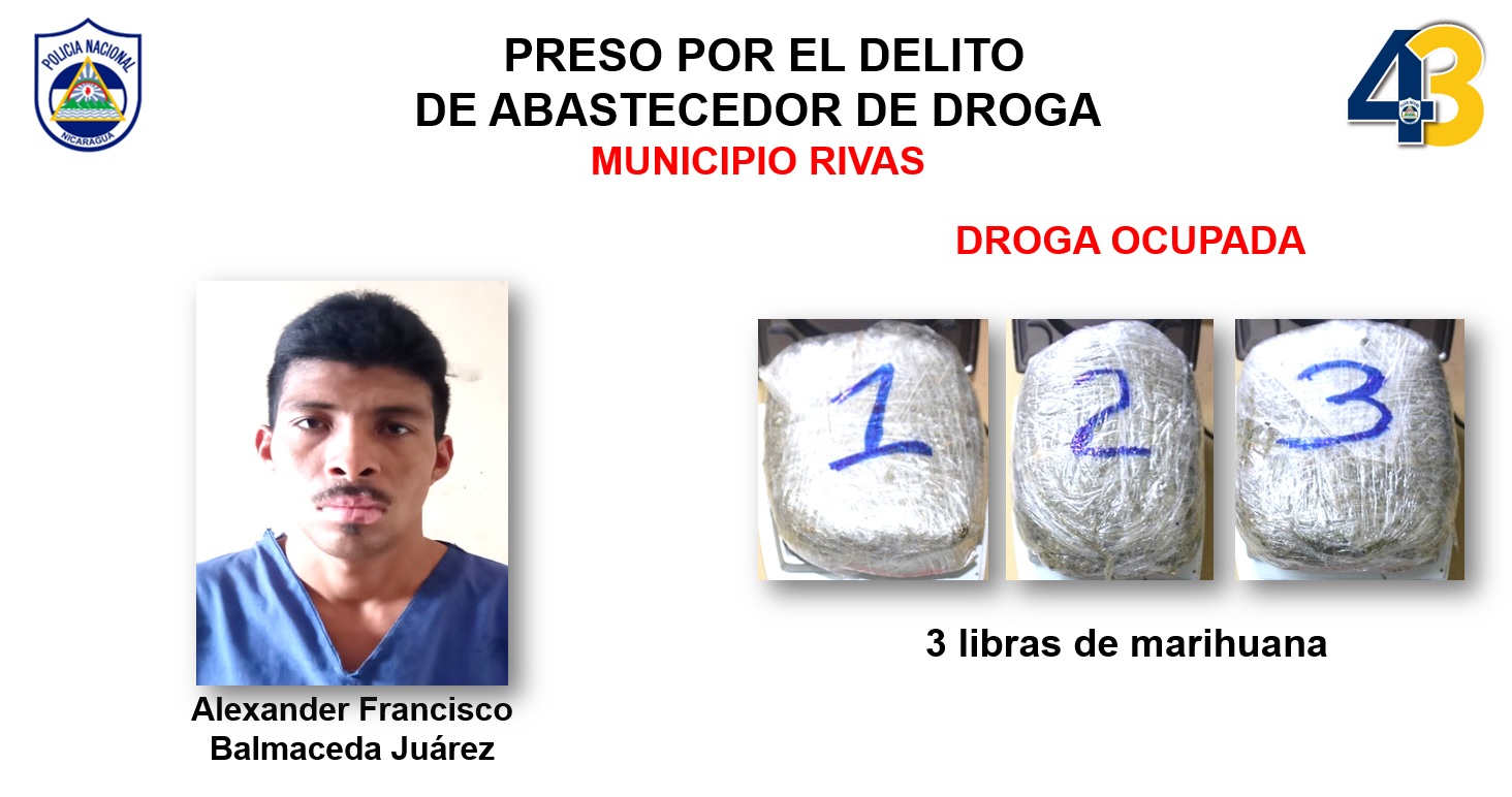 Policía Nacional atrapa a 3 sujetos con cinco libras de marihuana en ...